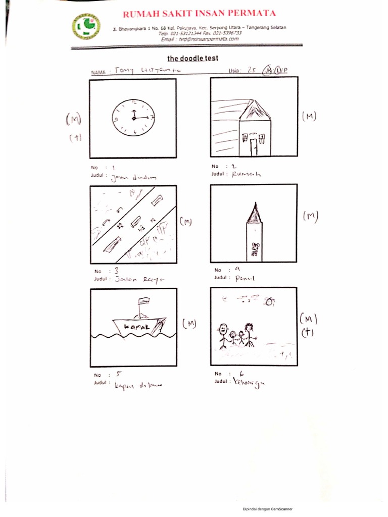 The Doodle Test Tomy | PDF