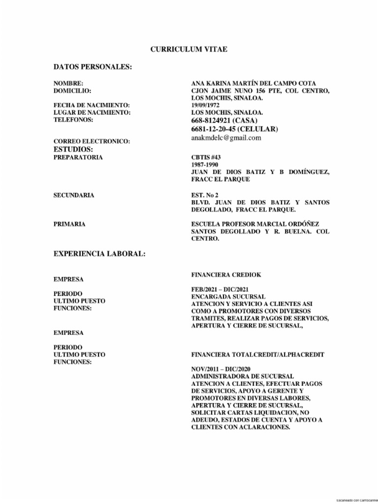 Curriculum Vitae Ana Karina | PDF