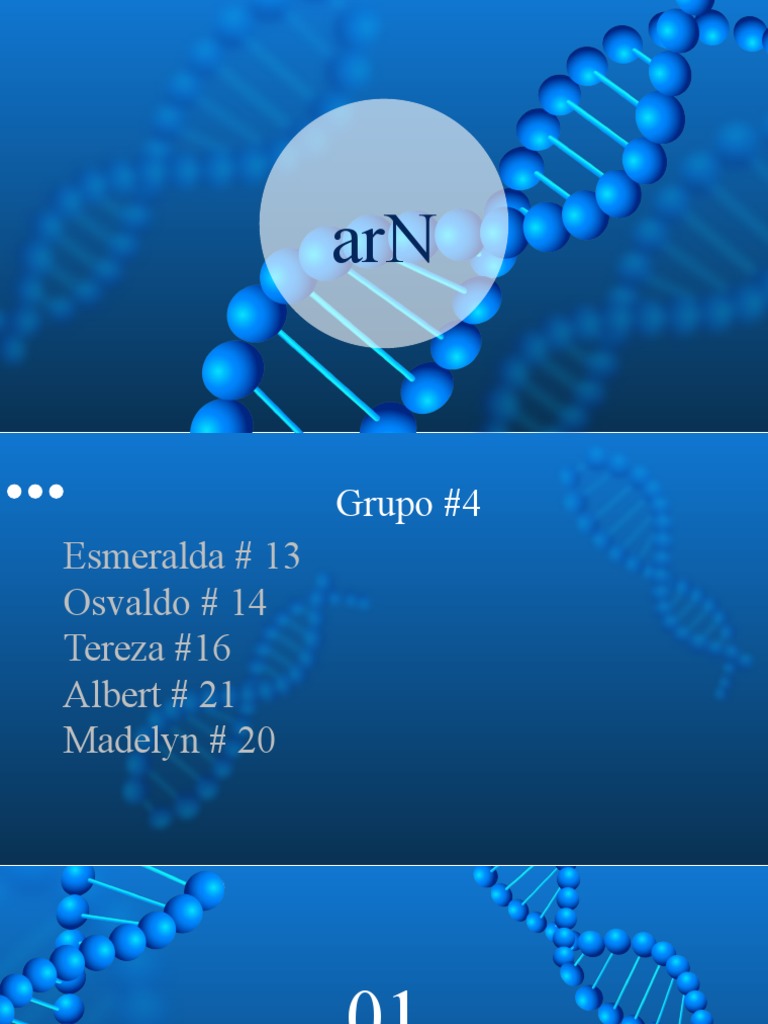Arn | PDF | Rna | Adn