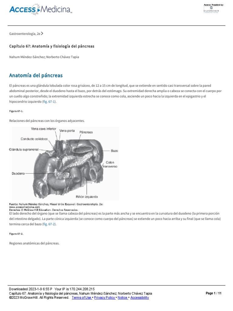 Capítulo 67 - Anatomía y Fisiología Del Páncreas | PDF | Páncreas ...