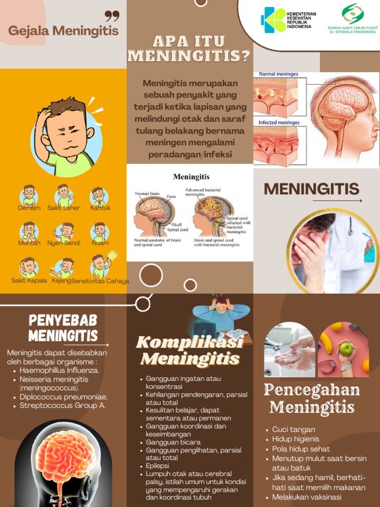 Leaflet Meningitis Oos | PDF
