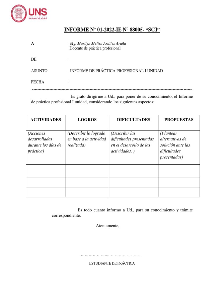 Informe de Práctica Profesional | PDF