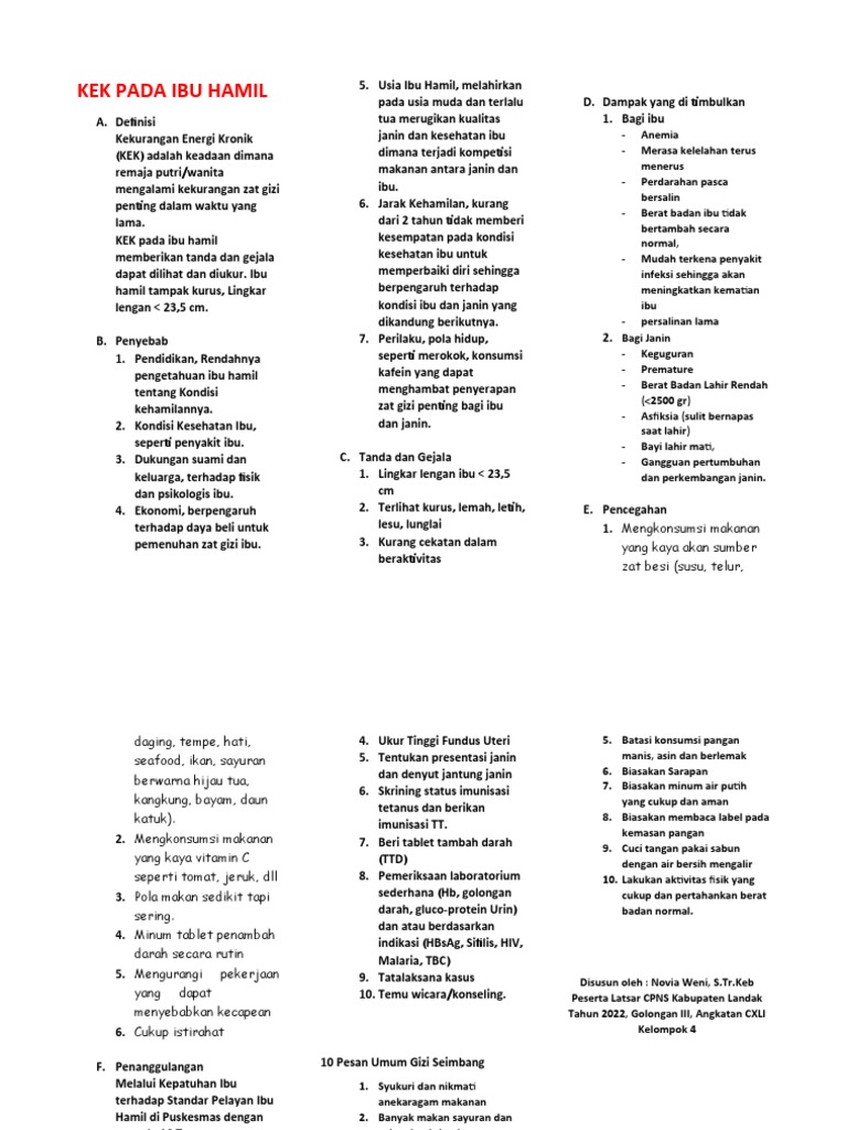 Leaflet Via Kek Pada Ibu Hamil Pdf