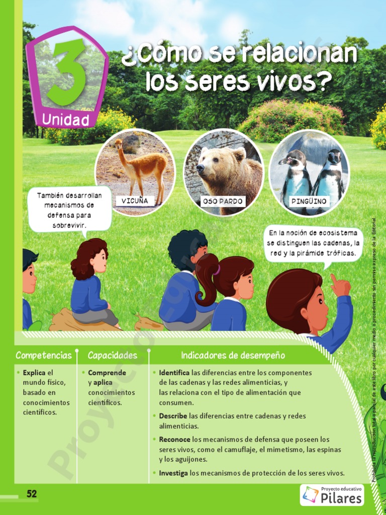 CIENCIA Y AMBIENTE - 4TO GRADO - UNIDAD 3 | PDF | Red alimentaria ...
