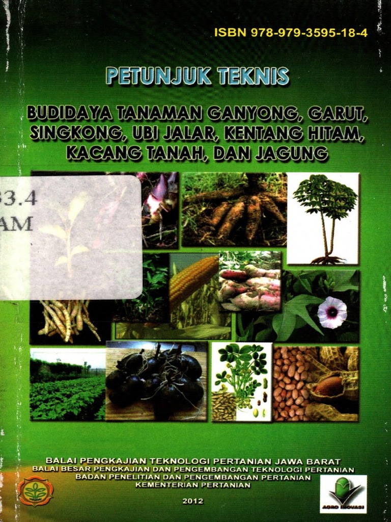 Petunjuk Teknis Budidaya Tanaman Ganyong, Garut, Singkong, Ubi Jalar, Kentang Hitam, Kacang ...