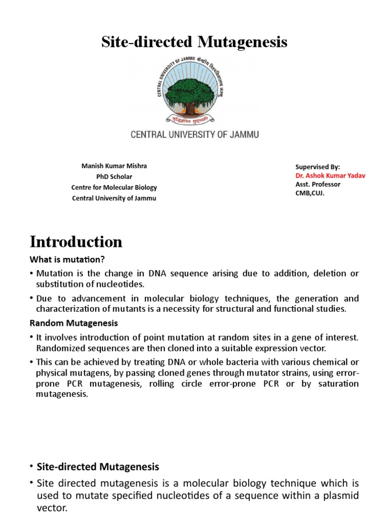 Site Directed Mutagenesis | PDF | Primer (Molecular Biology ...