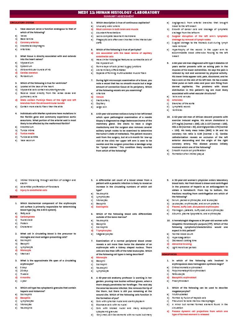 Summary Assessment HISTO LAB | PDF | Lymphatic System | Epithelium