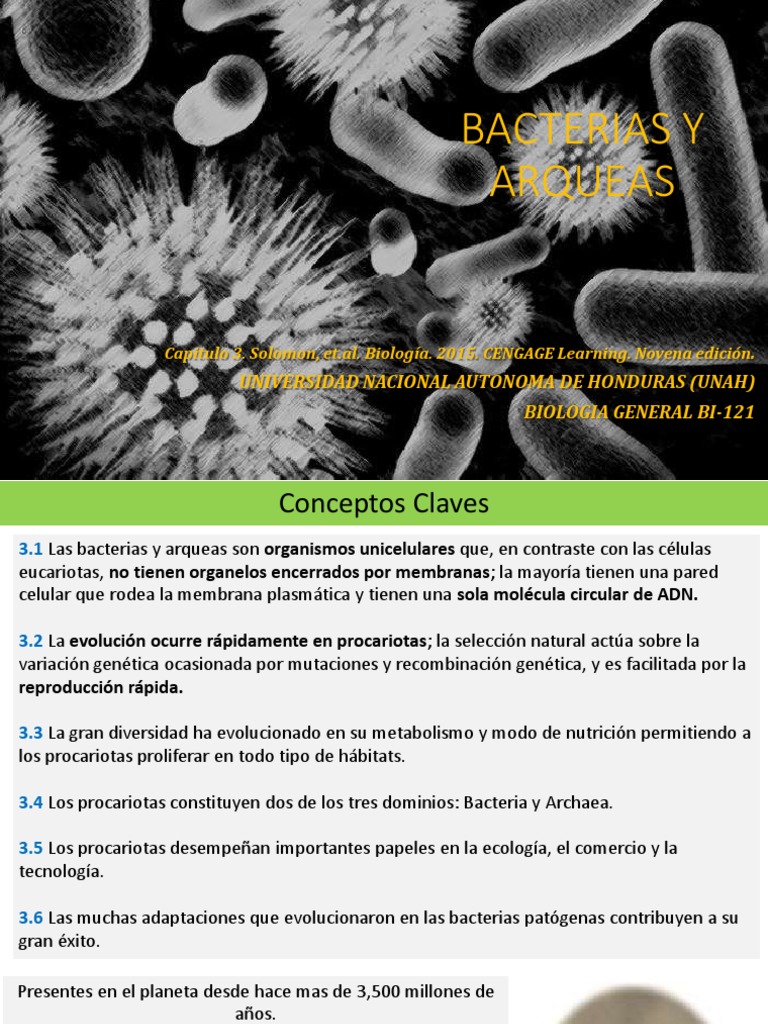 Comprension Reino Bacteria-Arquea | PDF | Las bacterias | Biología Celular)