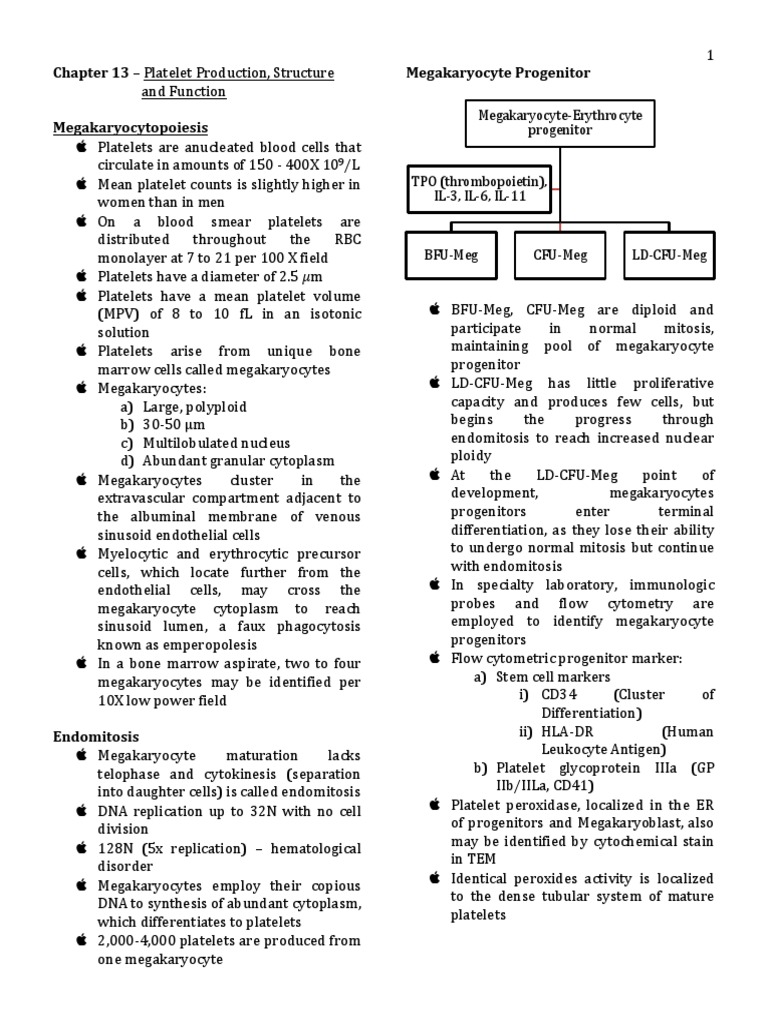 Chapter 13 - Platelet Production, Structure and Function | PDF | Platelet | Histology