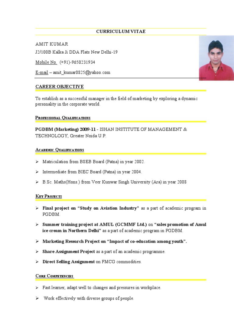 Amit CV | PDF | Career & Growth | Business