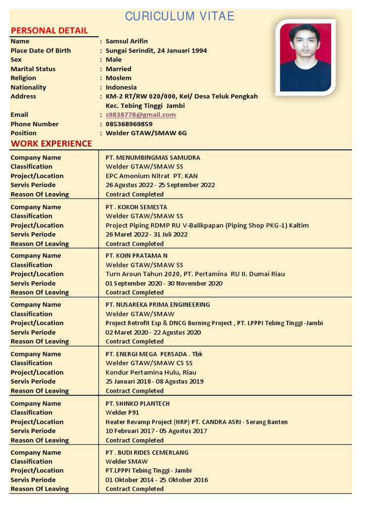 Contoh Curiculum Vita Model Excel | PDF