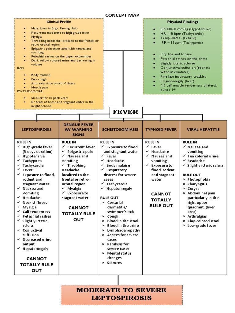 Leptospirosis Clinical Concept Map | PDF | Clinical Medicine | Medicine