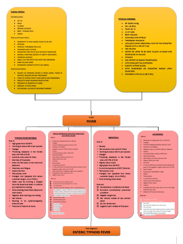 IM Concept Map Typhoid Fever | PDF | Medical Specialties | Causes Of Death