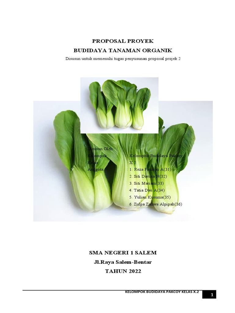 Proposal Budidaya Pakcoy Organik | PDF