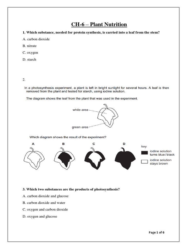 CH-6 - Plant Nutrition - Revision Sheet-AK | PDF | Photosynthesis ...