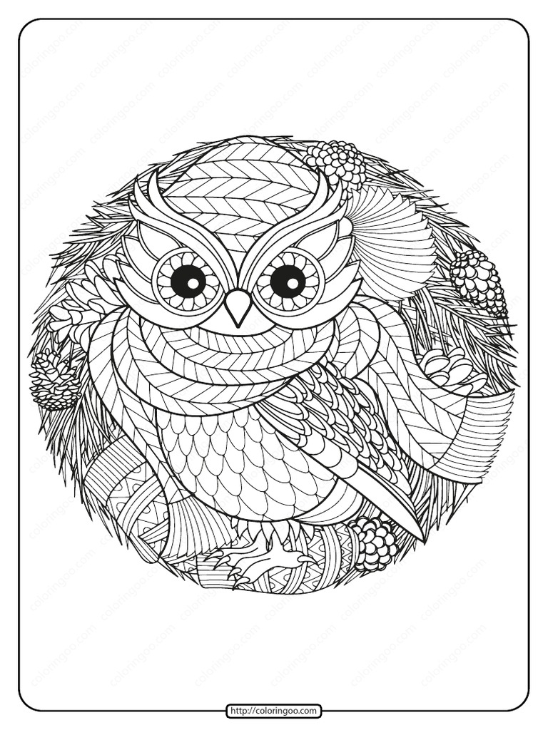 Winter Owl | PDF