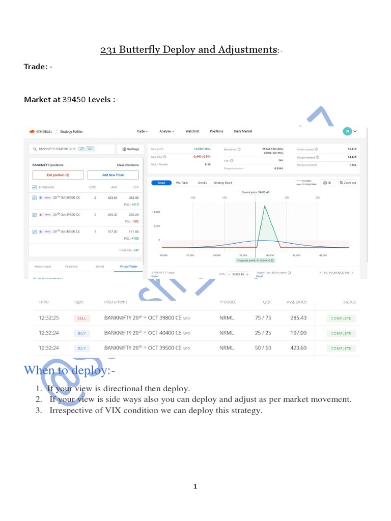 Butterfly Trade Strategy and Adjustments | PDF | History