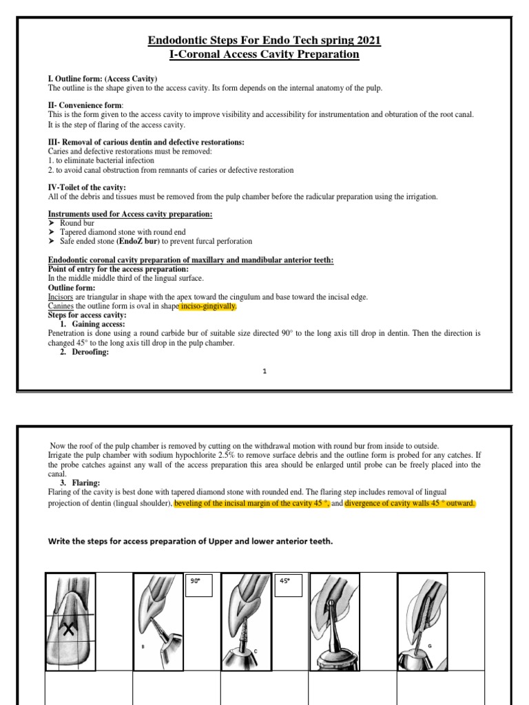 Endodontic Steps For Endo Tech Spring 2021 | PDF | Health Sciences | Mouth