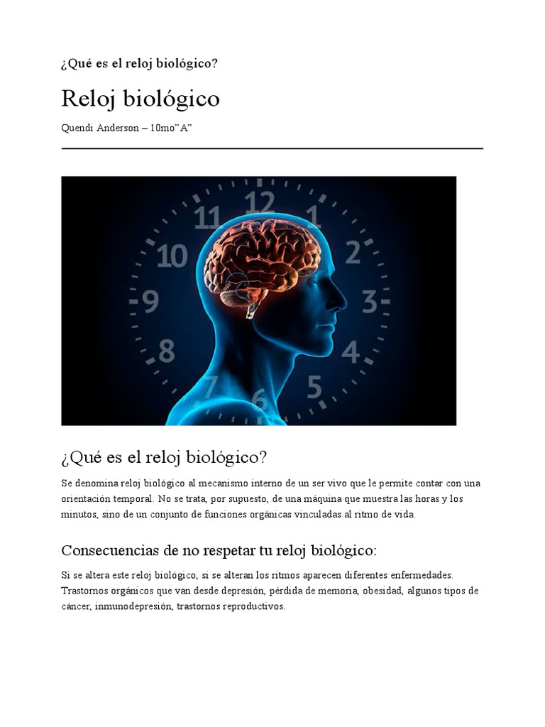 Reloj Biológico | PDF