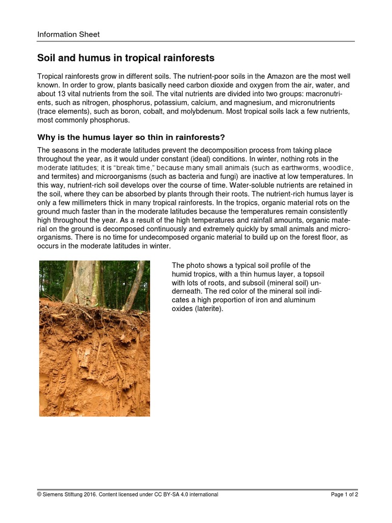 106320 | PDF | Soil | Decomposition