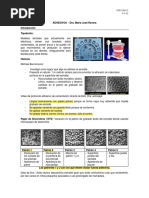 Cementacion de Brackets | PDF | Ortodoncia | Adhesión