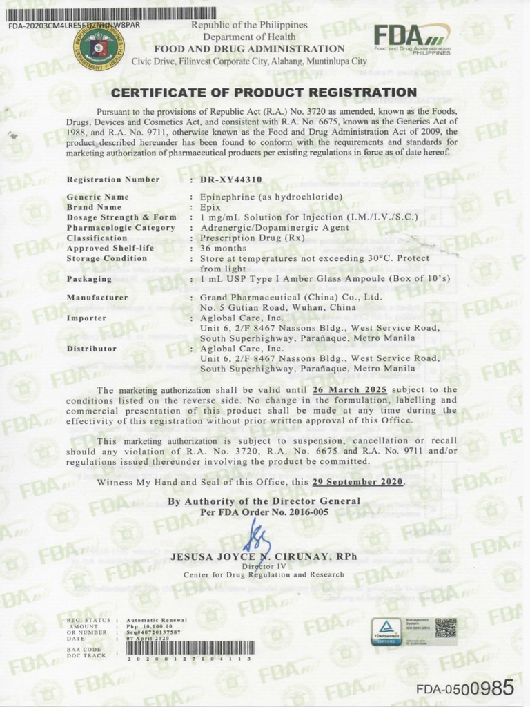 CPR - Epinephrine Amp EPIX 3-26-25 | PDF