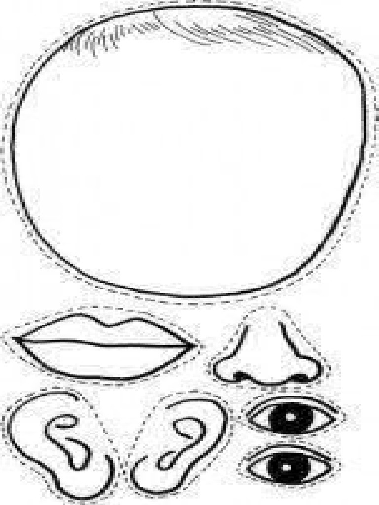 LKS - Menempel 5 Panca Indra | PDF