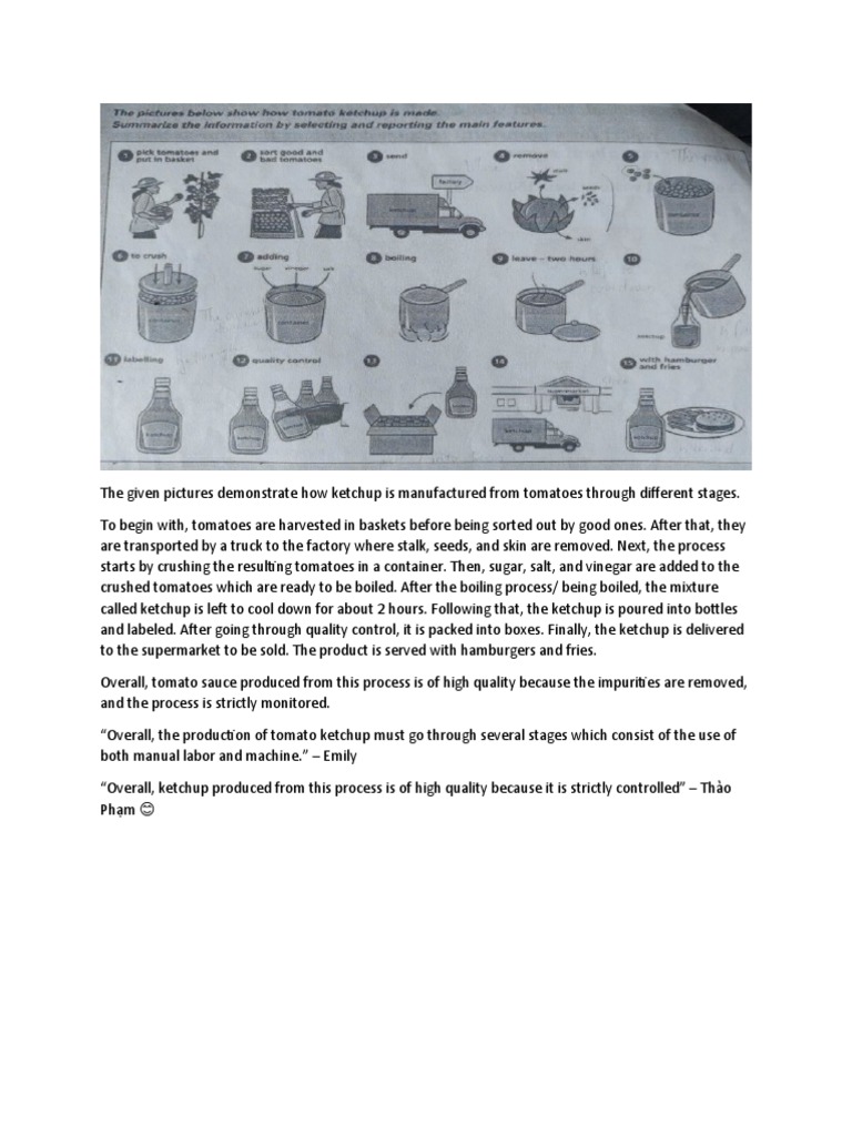 Process Tomato Ketchup | PDF