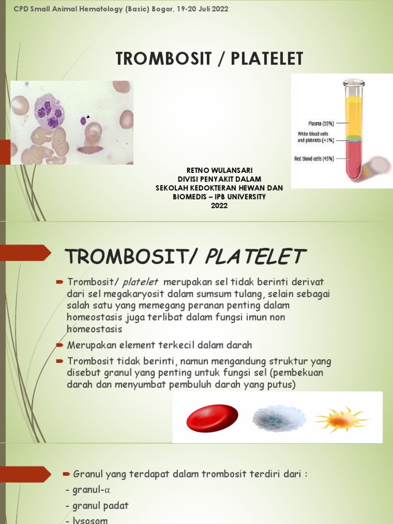 TROMBOSIT | PDF