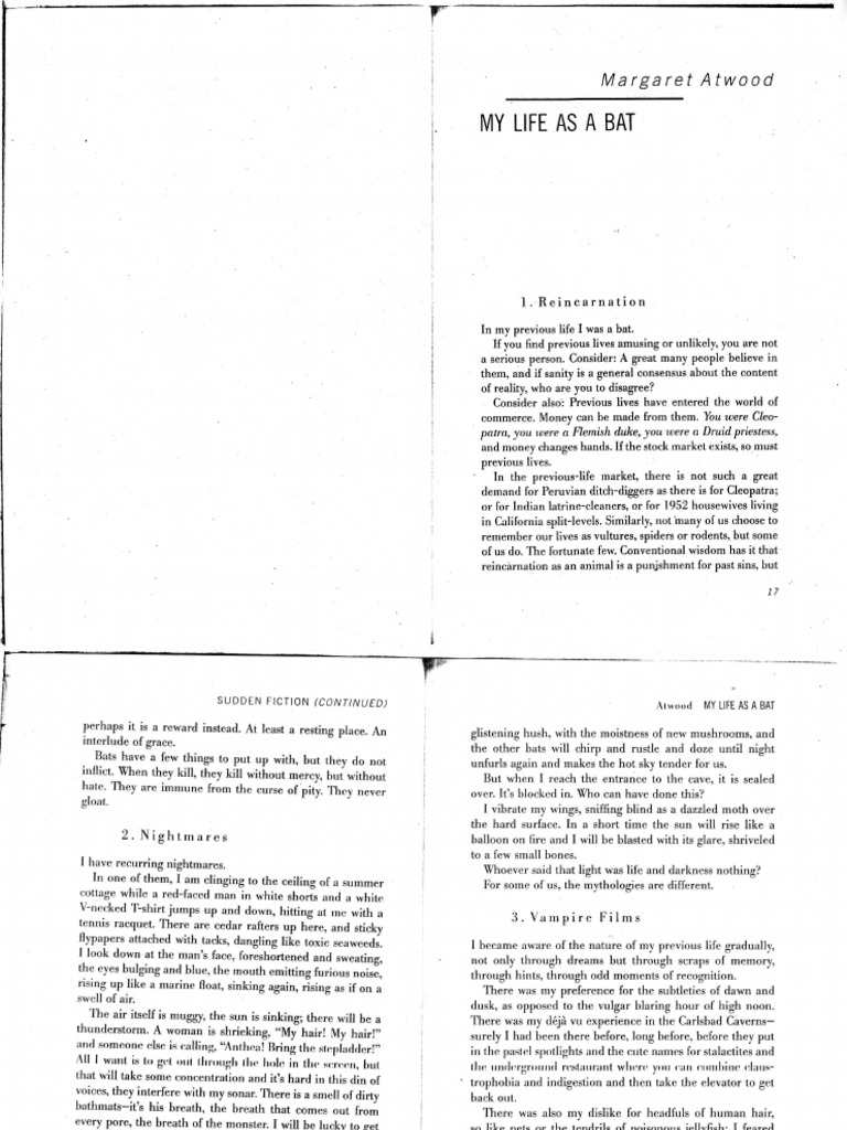 My Life As A Bat | PDF | Young Adult