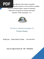 Compte Rendu TP2 Pendule Simple-Converti | PDF | Pendule (physique) | Fréquence