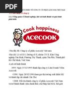 GIỚI THIỆU VỀ CÔNG TY ACECOOK | PDF