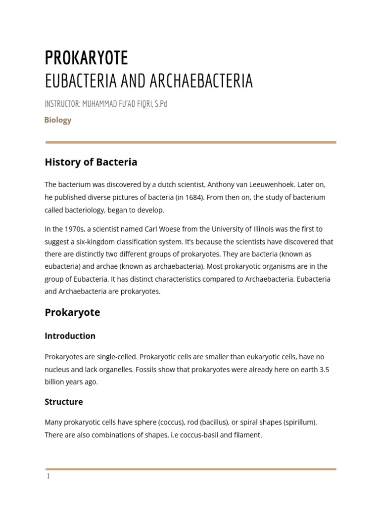 Biology - Prokaryotes | PDF | Bacteria | Cell (Biology)
