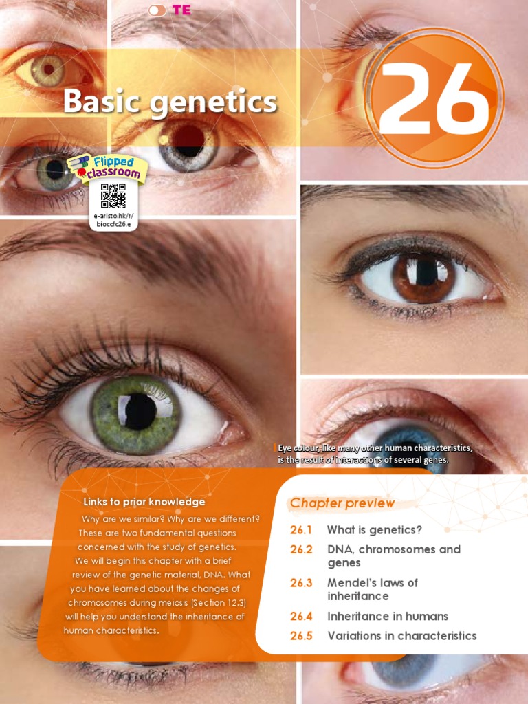 Basic Genetics: Chapter Preview | PDF | Dna | Zygosity