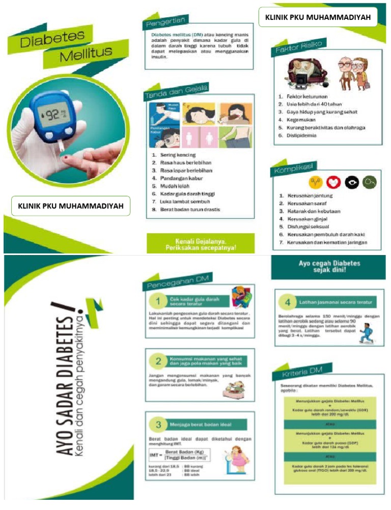 LEAFLET DM Prolanis | PDF