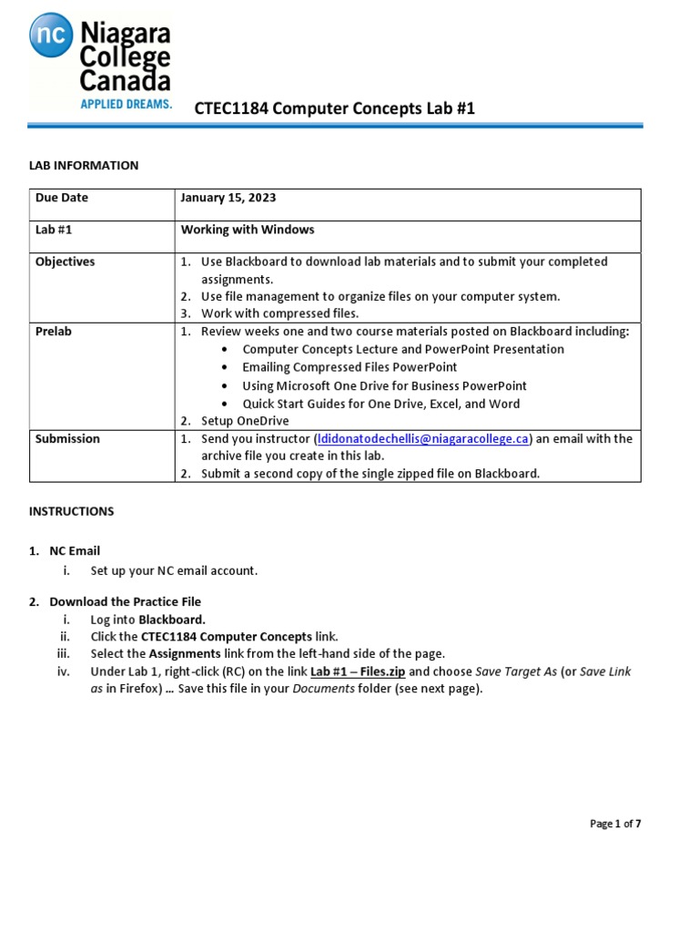 Lab #1 - Working With Windows | PDF | Computer File | Zip (File Format)