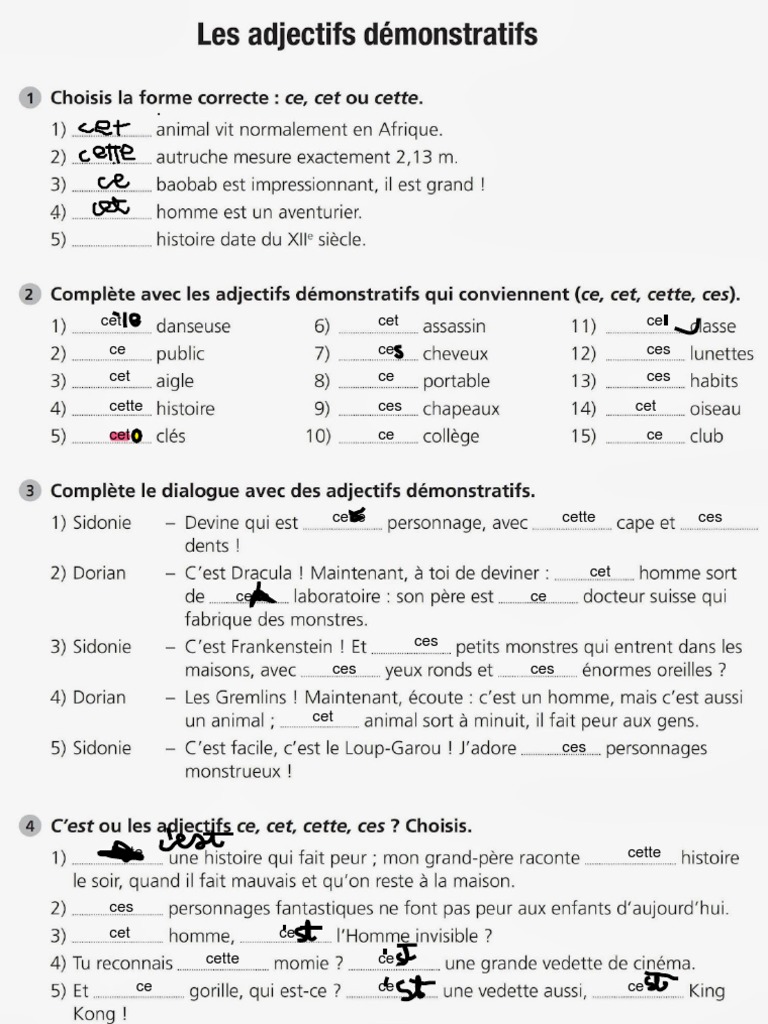 Exercice - Adjectifs Démonstratifs | PDF