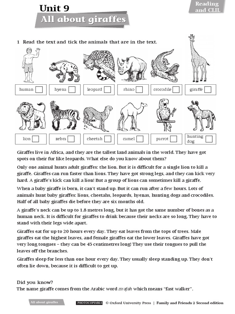Faf 2e Level 2 Unit 9 All About Giraffes | PDF | Giraffe | Lion Faf 2e Level 2 Unit 9 All About Giraffes | PDF | Giraffe | Lion