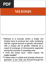Lesson 7. Stages of Mitosis and Meiosis | PDF