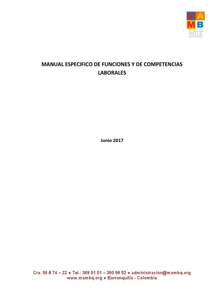 Manual de Funciones Mamb | PDF | Diseño | Diseño gráfico