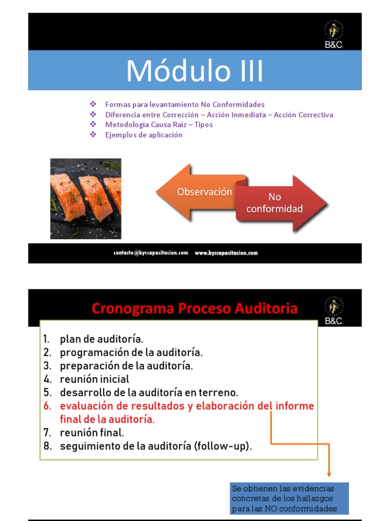 Curso No Conformidades E-Learning Abril 2021 Modulo3 | PDF | Auditoría | Análisis de Riesgo y ...