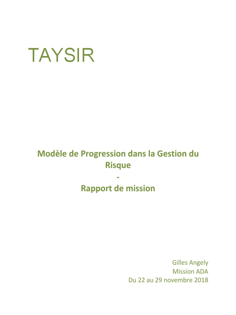 RAPPORT - Gestion Des Risques MPGR | PDF