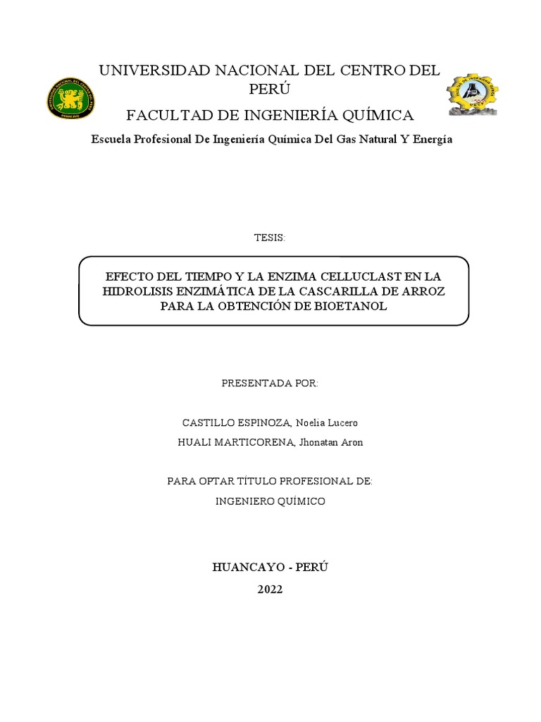 Tesis I - Efecto Del Tiempo y La Enzima Celluclast en La Hidrolisis ...