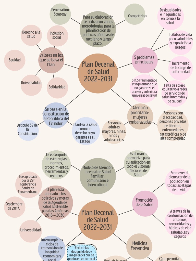 Resumen Plan Decenal 2022-2031 Ecuador | PDF | Ciencias de la Salud
