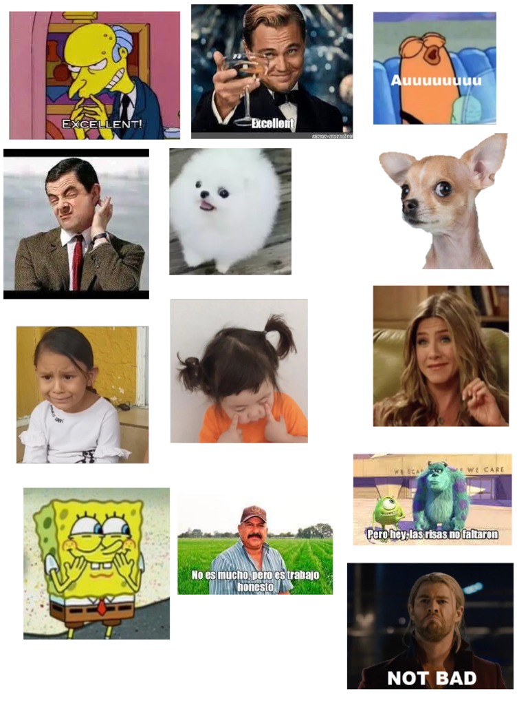 Memes para Calificar | PDF