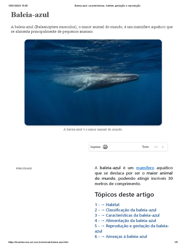 Características, habitat, alimentação, reprodução e ameaças à baleia ...