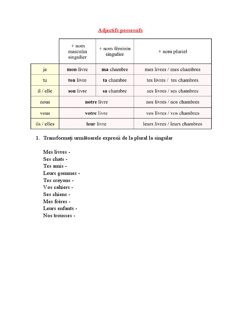 Adjectifs Possessifs - Clasa 5B | PDF | Arts du langage et discipline ...
