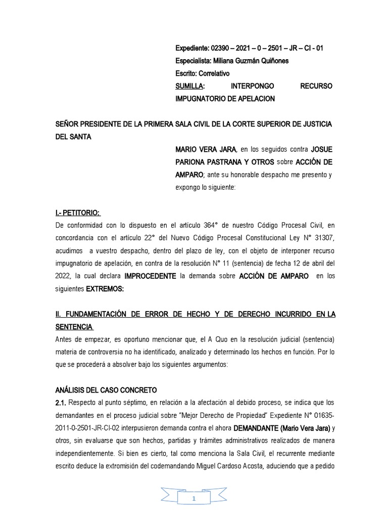 Apelacion de Sentencia | PDF | Habeas corpus | Sentencia (ley)