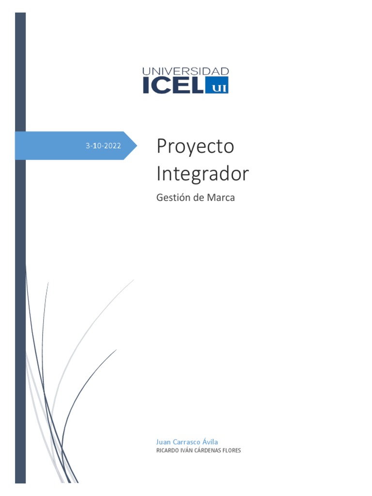 Proyecto integrador final | PDF