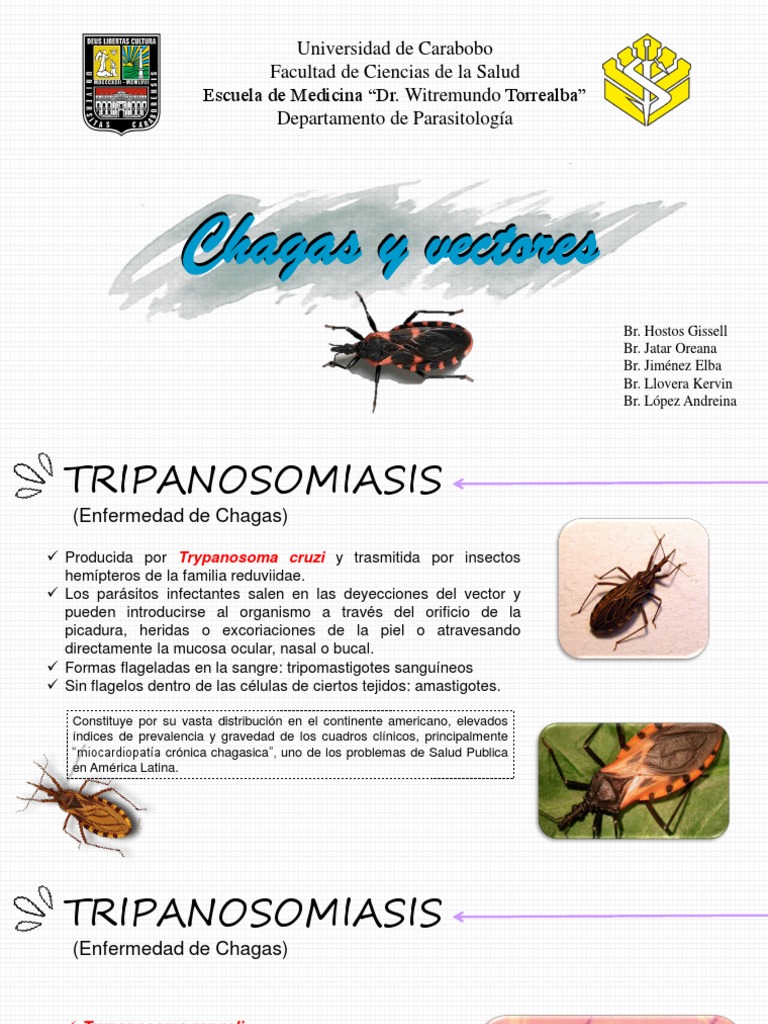 D1 Chagas y Sus Vectores | PDF